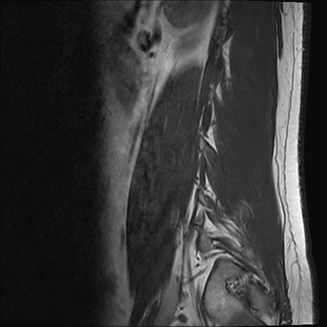 animated gif – somethingdotsomething